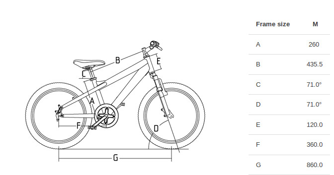 Speedster Girl 2017 - Детски велосипед 20" - - store.bg